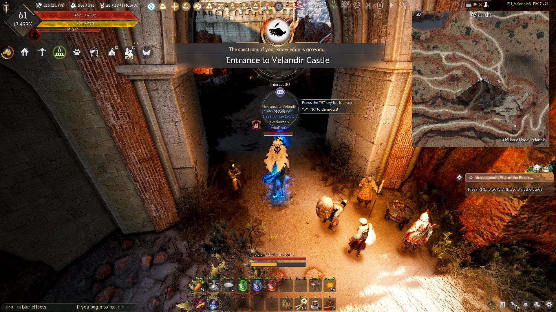 [Game Play] [GUIDE] Southern Ulukita Adventure Log I | Black Desert NA/EU