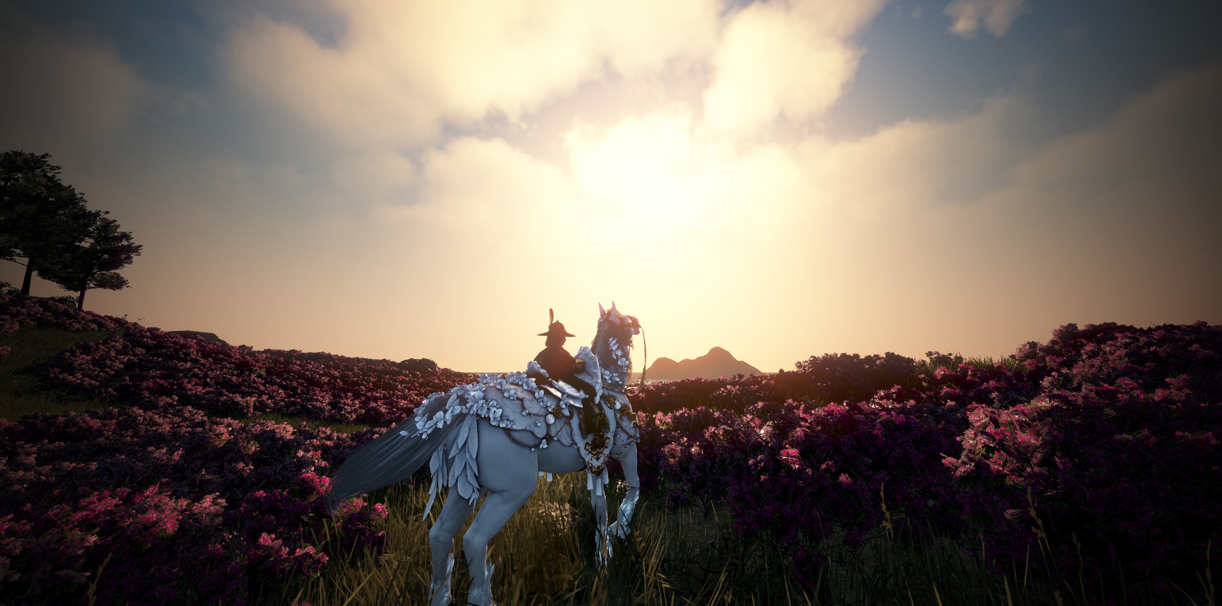 [Event] [BDO Calendar - Summer][EU] Into The Sunset | Black Desert NA/EU