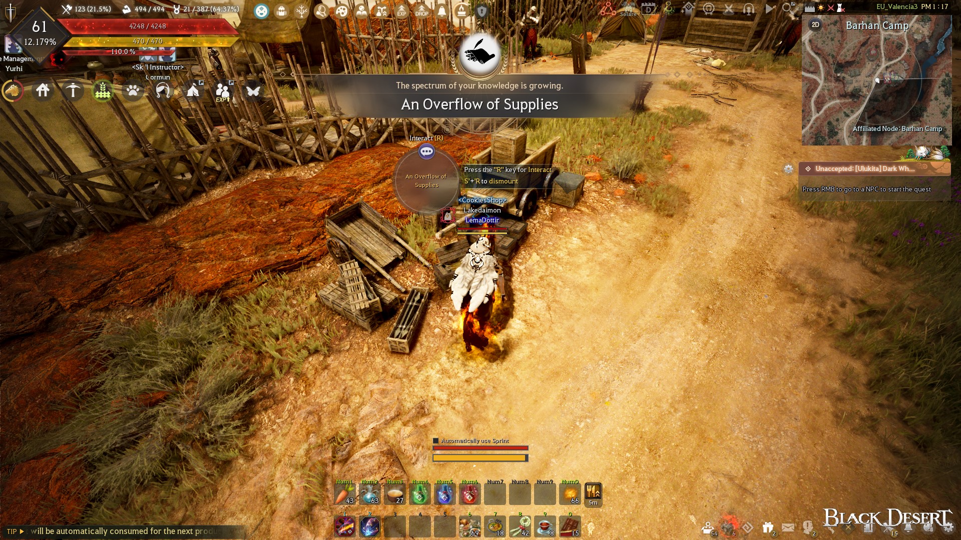 [Game Play] [GUIDE] Ulukita Wilds Adventure Log III | Black Desert NA/EU