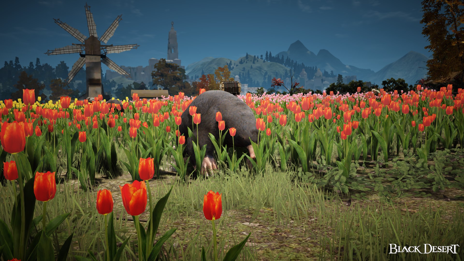[Event] [BDO Calendar - Spring] [EU] - Tulips in spring | Black Desert NA/EU