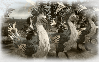 [Feedback] Regional Mount Varieties | Black Desert NA/EU