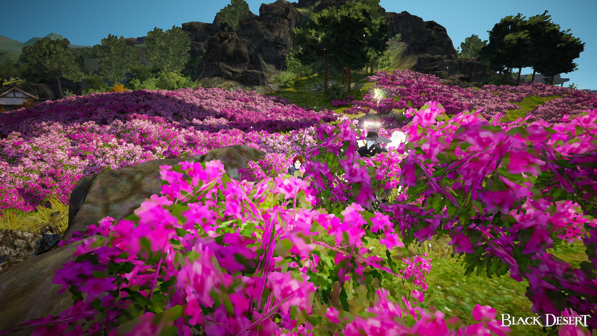 [Event] [EU][FindtheGM] Hiding in Byeot County Flower Field with GMs ...