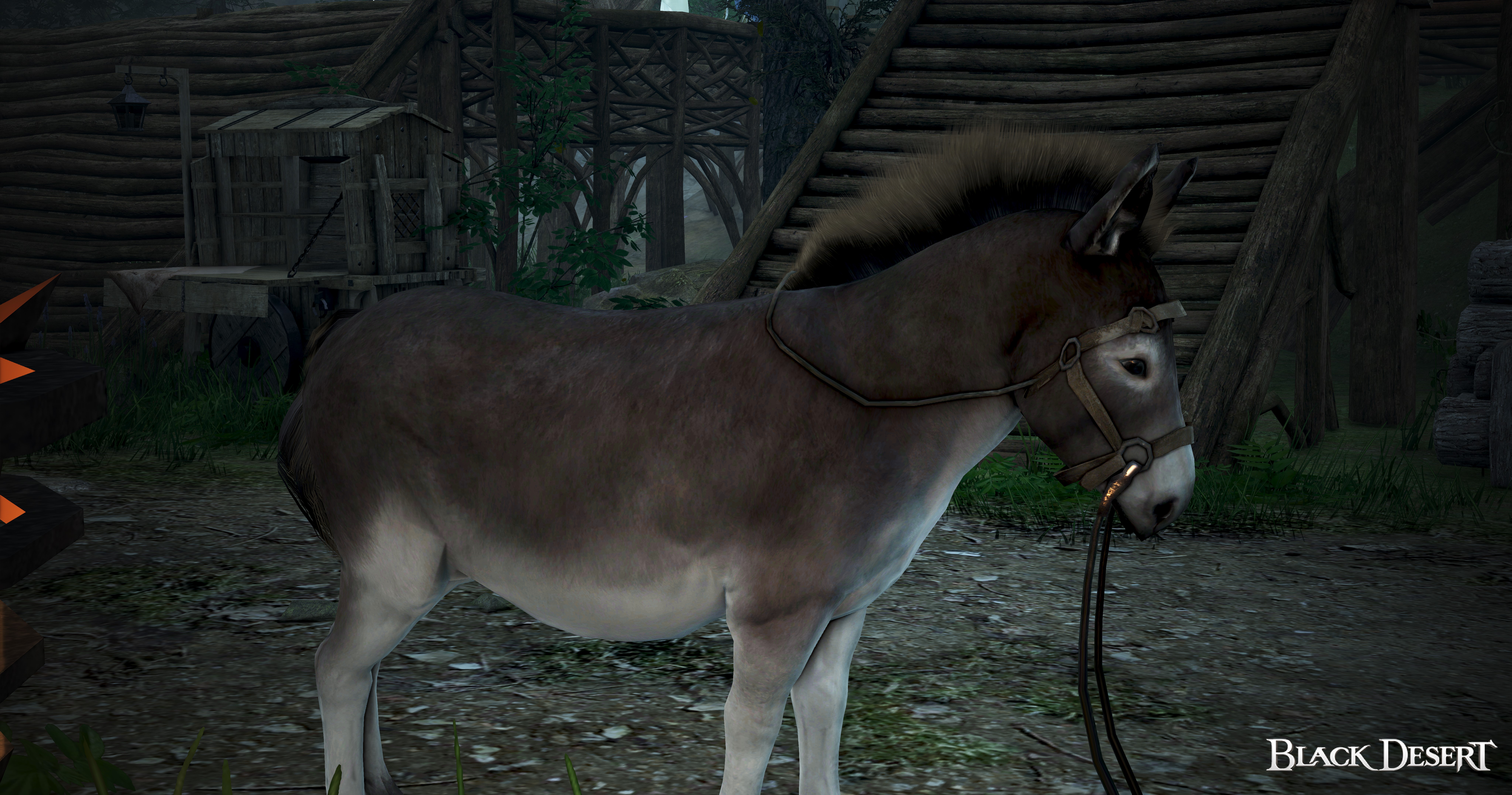 [Bug Reports] Shai Donkey Textures | Black Desert NA/EU
