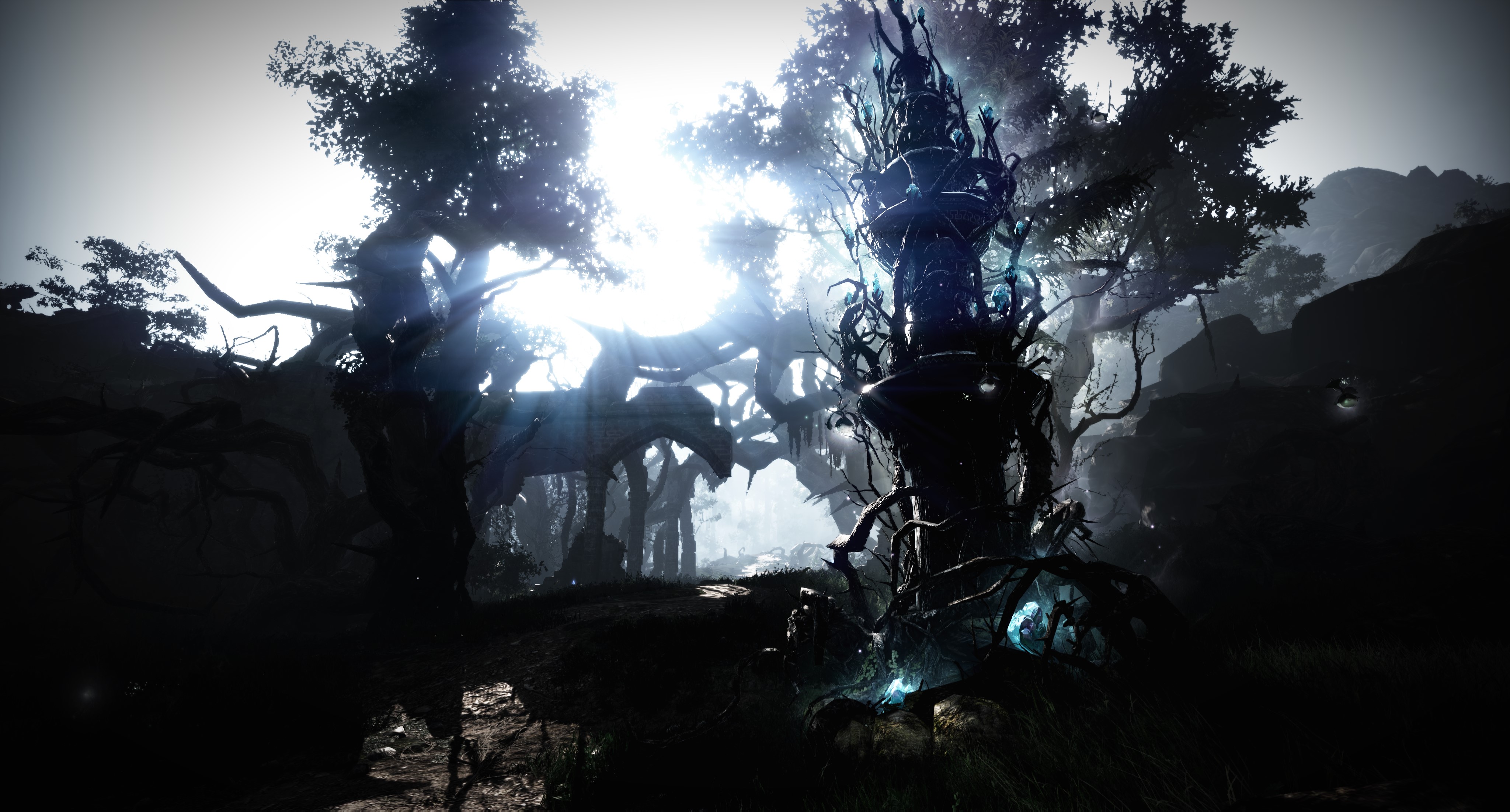 [Event] [2026 Calendar][EU]Rare views | Black Desert NA/EU