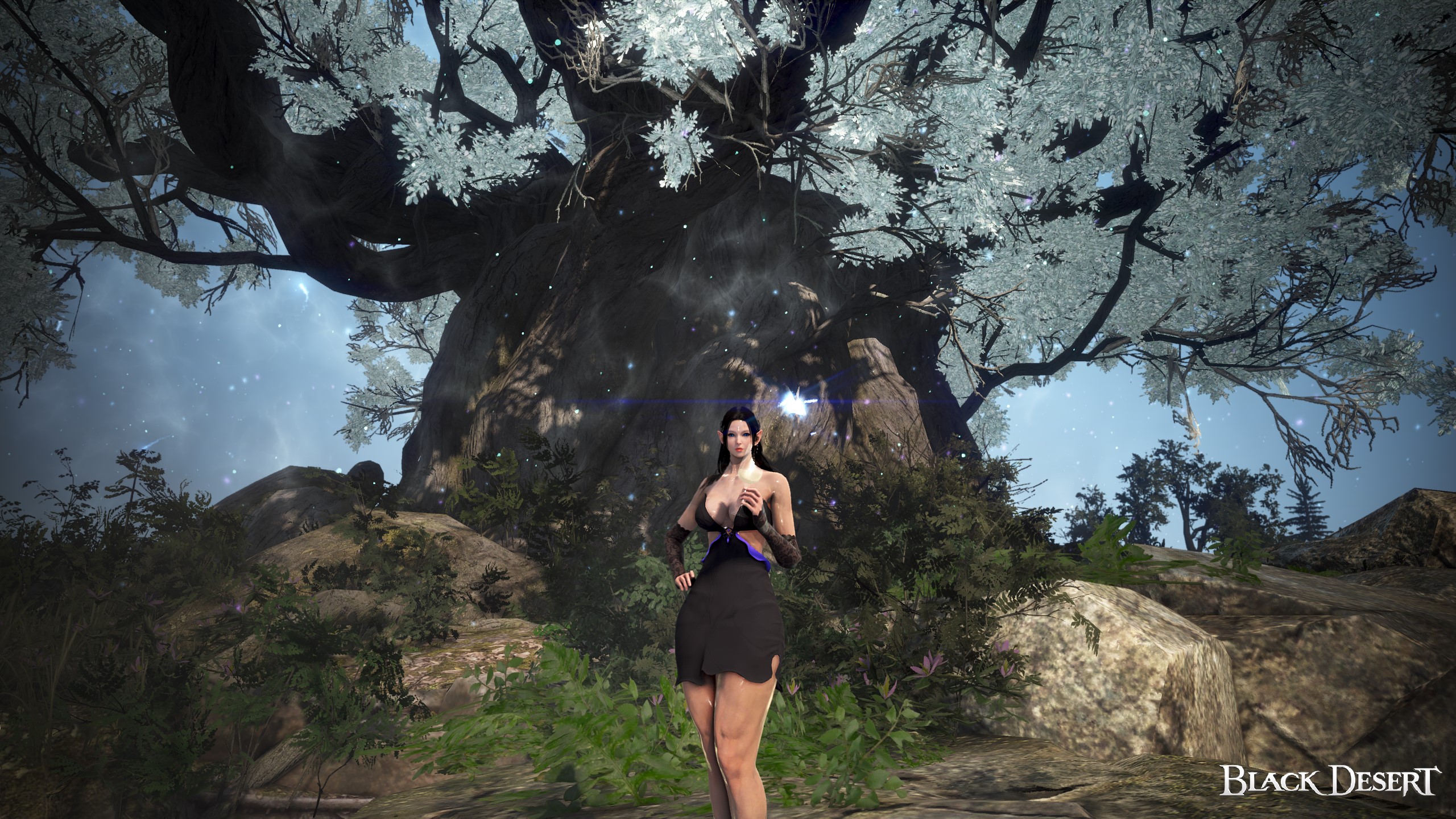 [Event] [BDO Calendar - Spring][NA] enjoying spring in grana | Black ...