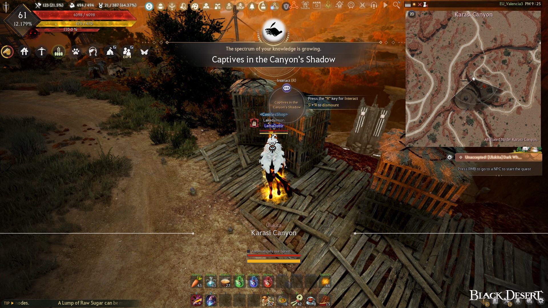 [Game Play] [GUIDE] Ulukita Wilds Adventure Log III | Black Desert NA/EU