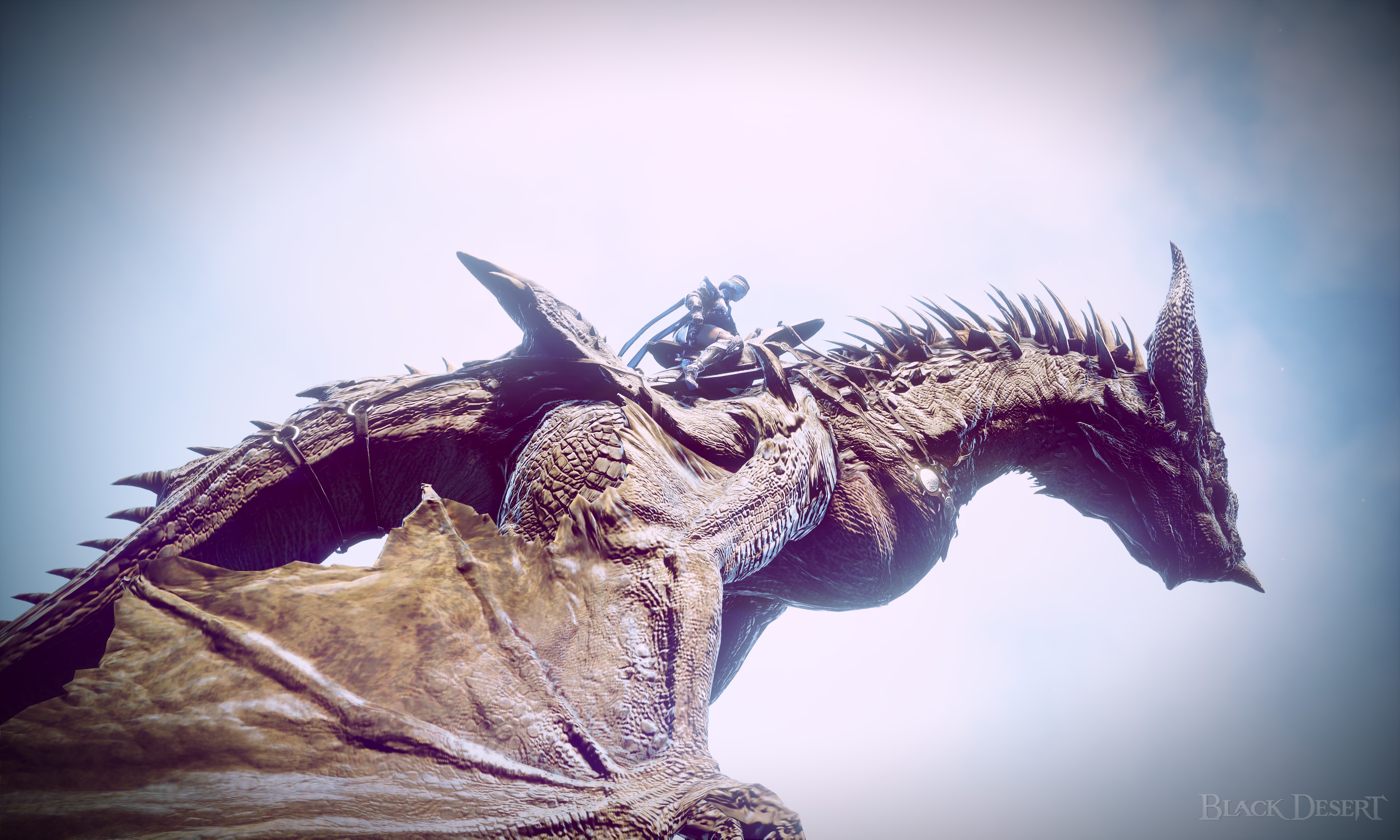 [Fan Art] Wings of Terror 🐲 | Black Desert NA/EU