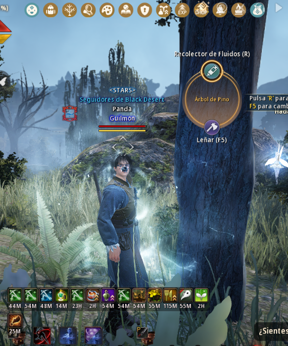 [Jugabilidad] [Guia Vida] Todos los Buff de Vida v1.0 | Black Desert SA