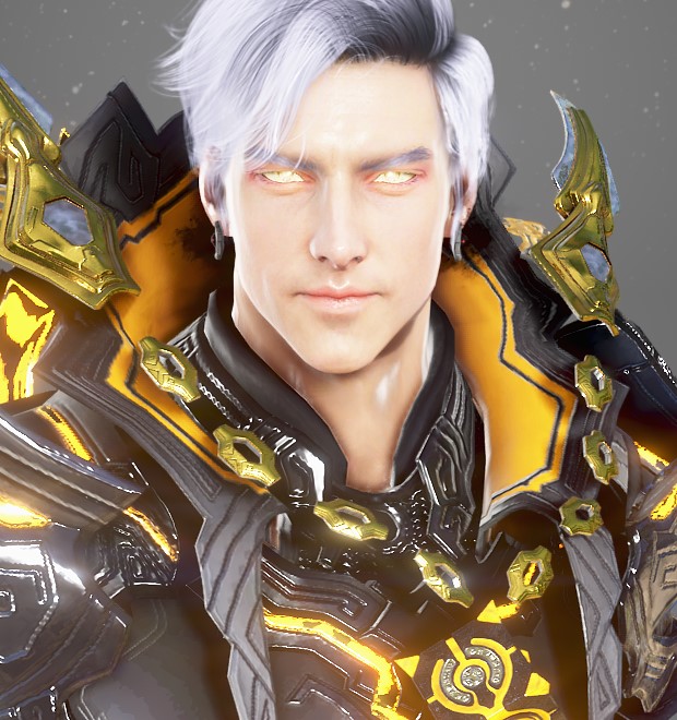 Customization Album | Black Desert