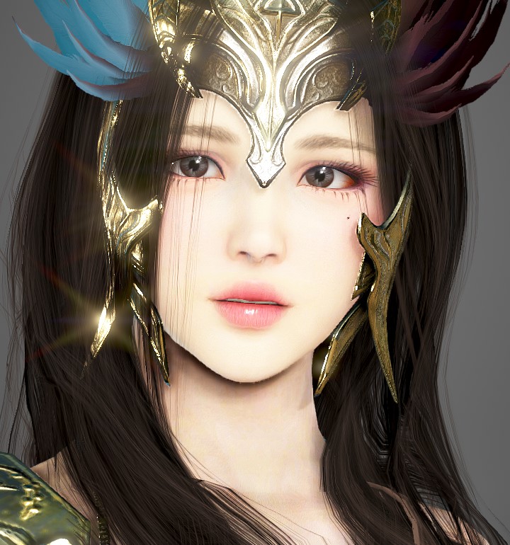 Customization Album | Black Desert