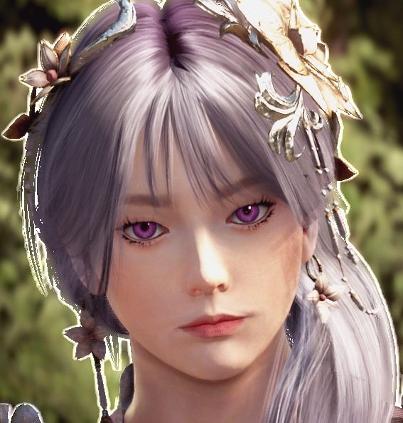 Customization Album | Black Desert