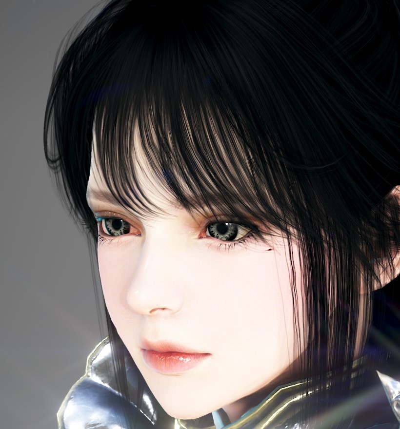 Customization Album | Black Desert