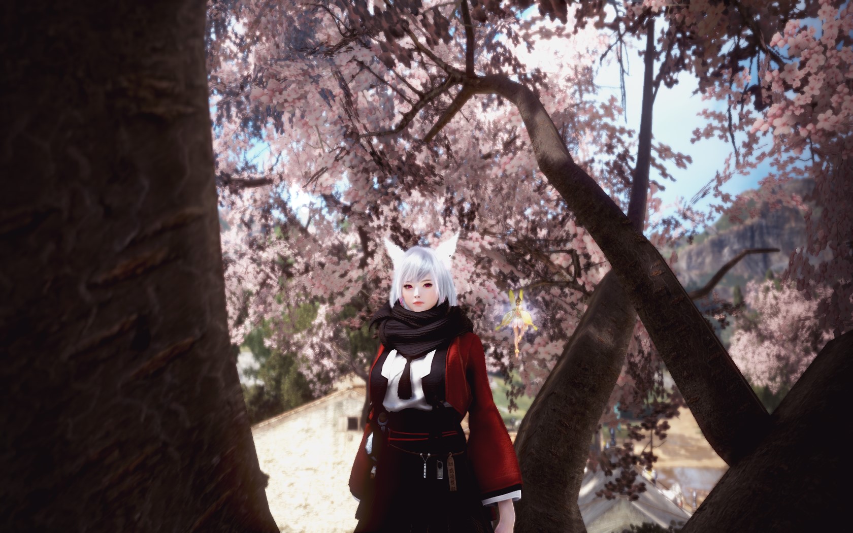 [Photo Gallery] sakura