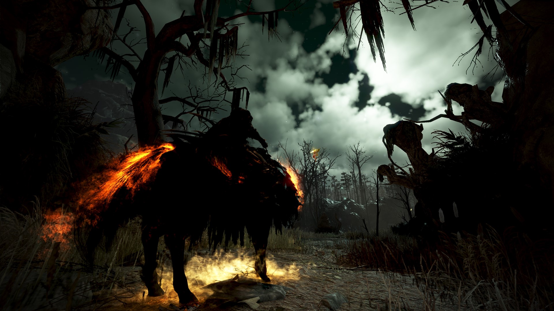 [Photo Gallery] The Dark Rider