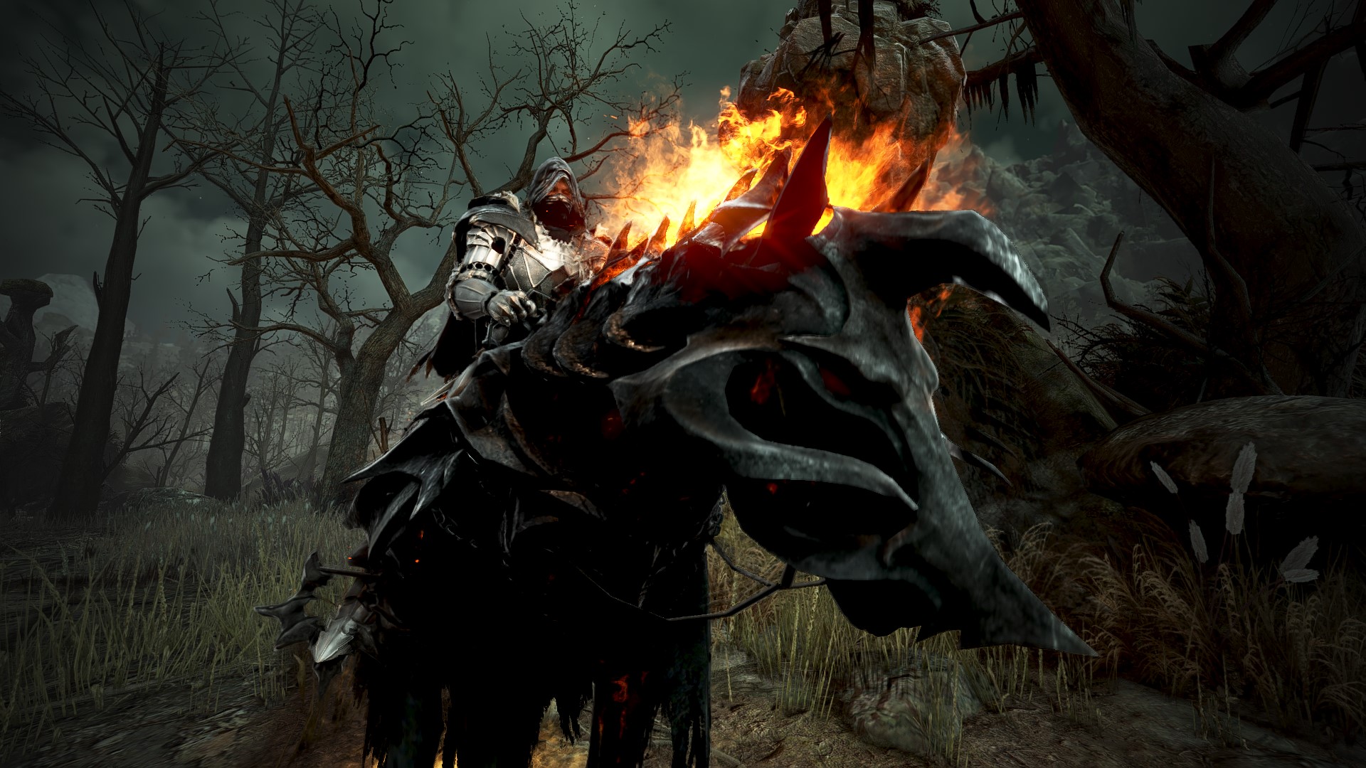 [Photo Gallery] The Dark Rider