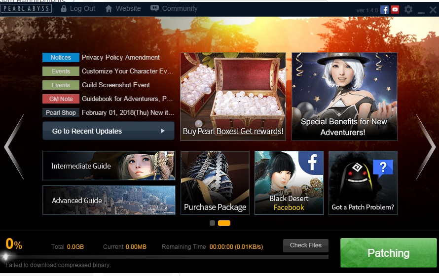 [General Gameplay] patch error