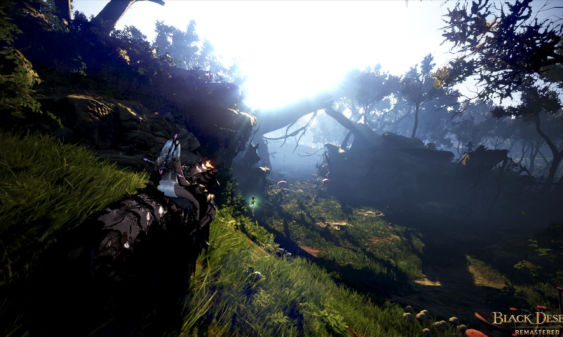 [Screenshots & Clips] [Travel] Beauty of Polly Forest