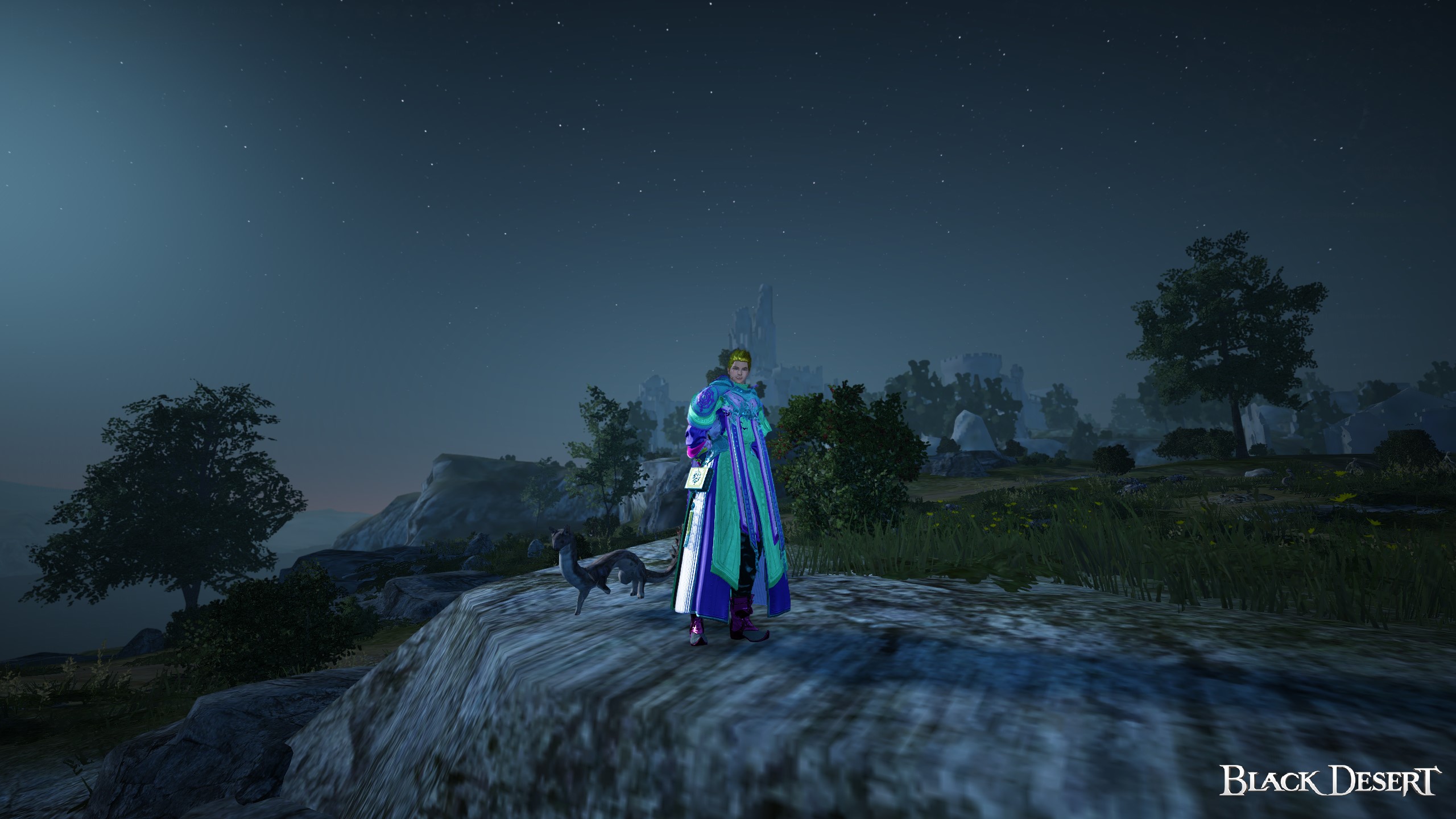 [Screenshots & Clips] [Wizard] Daily Grind for the win! | Black Desert ...