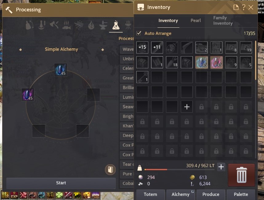 [General Gameplay] Enchanted Scroll +45 Bug | Black Desert Asia (TH/SEA)