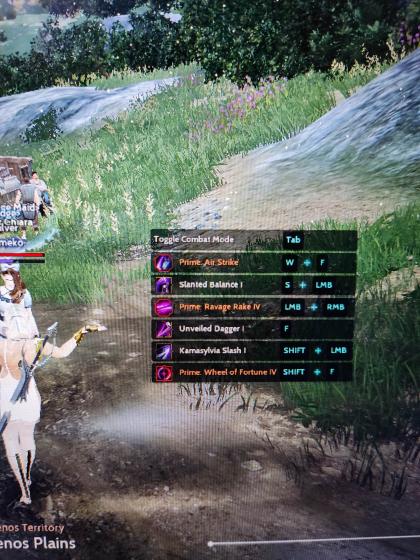 [General Gameplay] help on skill combo guide