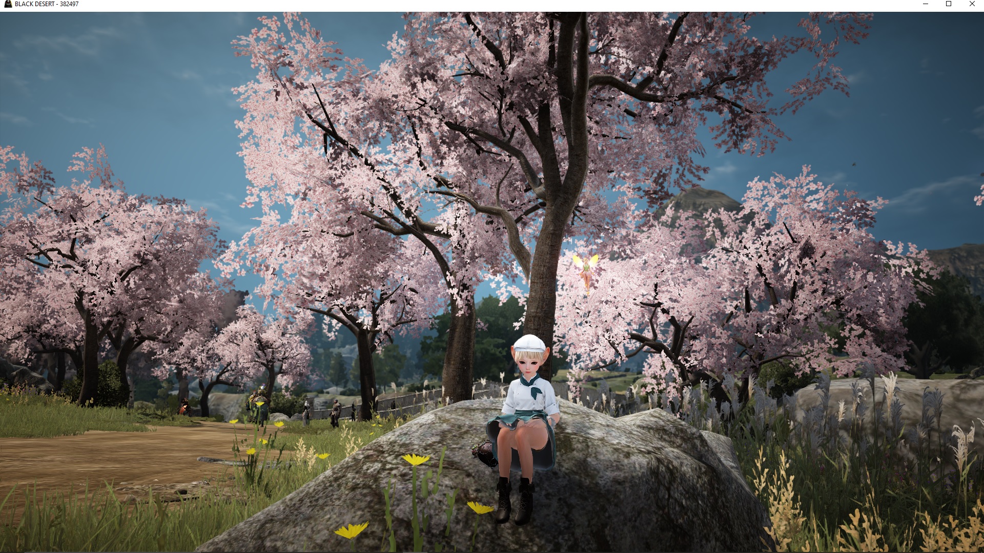 [Screenshots & Clips] [Cherry Blossom] sakura event ftw | Black Desert ...