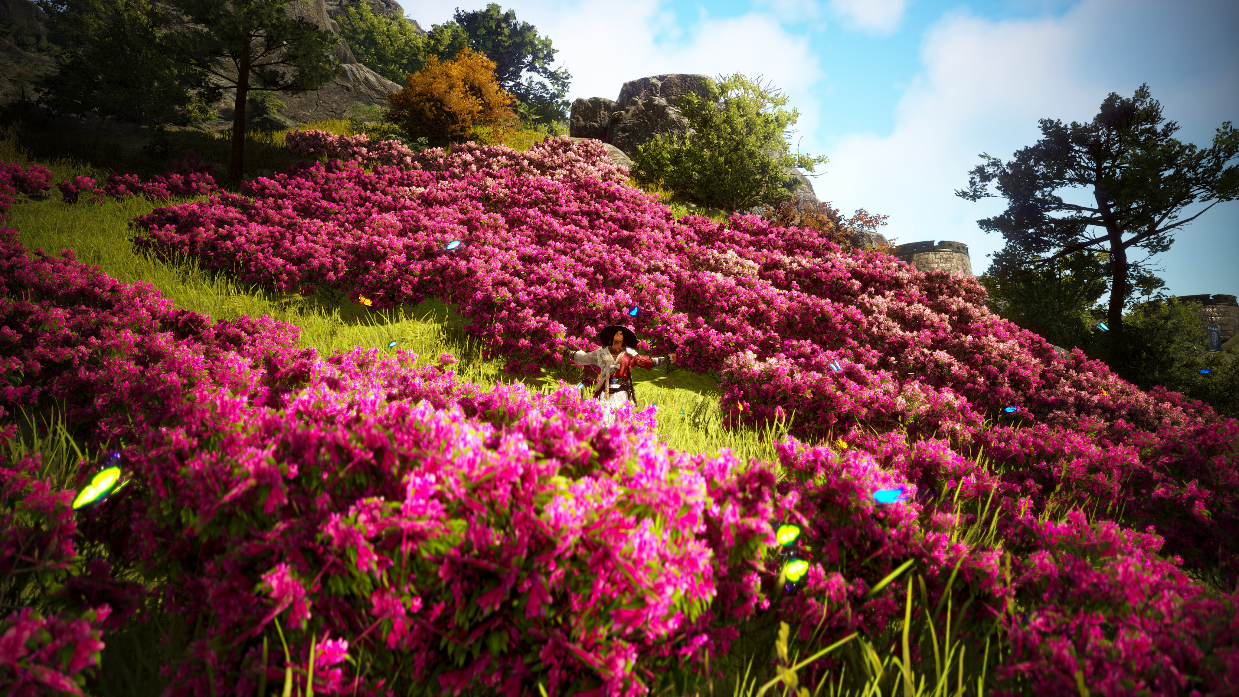 [Screenshots & Clips] [Morning Light Journey] Morning Light Adventure Log