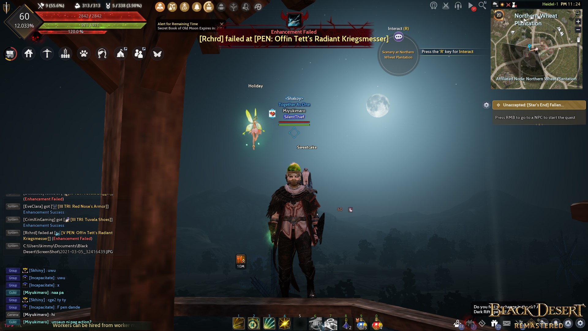 screenshot-clips-one-my-screenshots-black-desert-southeast-asia