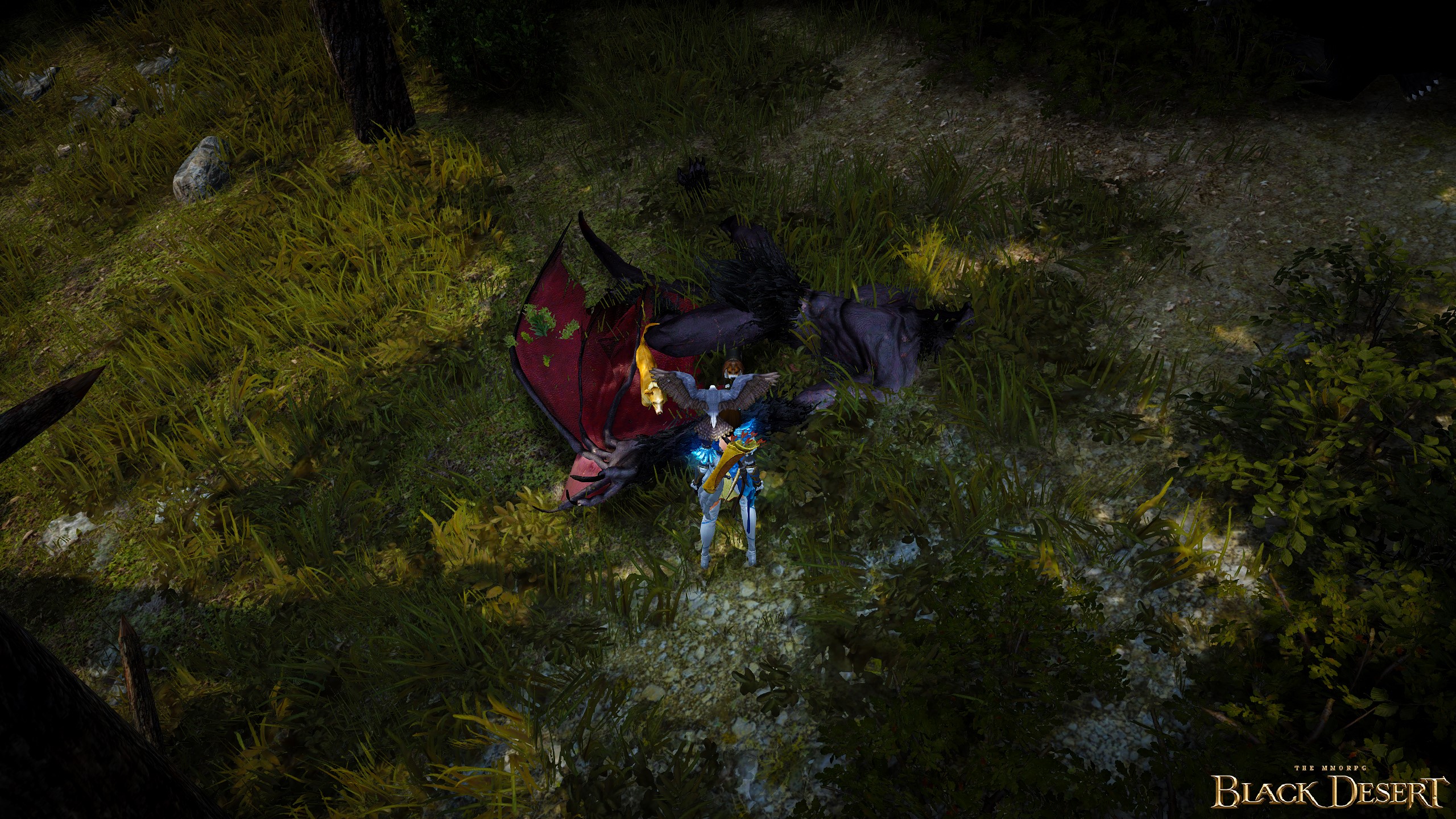 [Screenshots & Clips] [Black Desert 1st Anniversary] Khalk