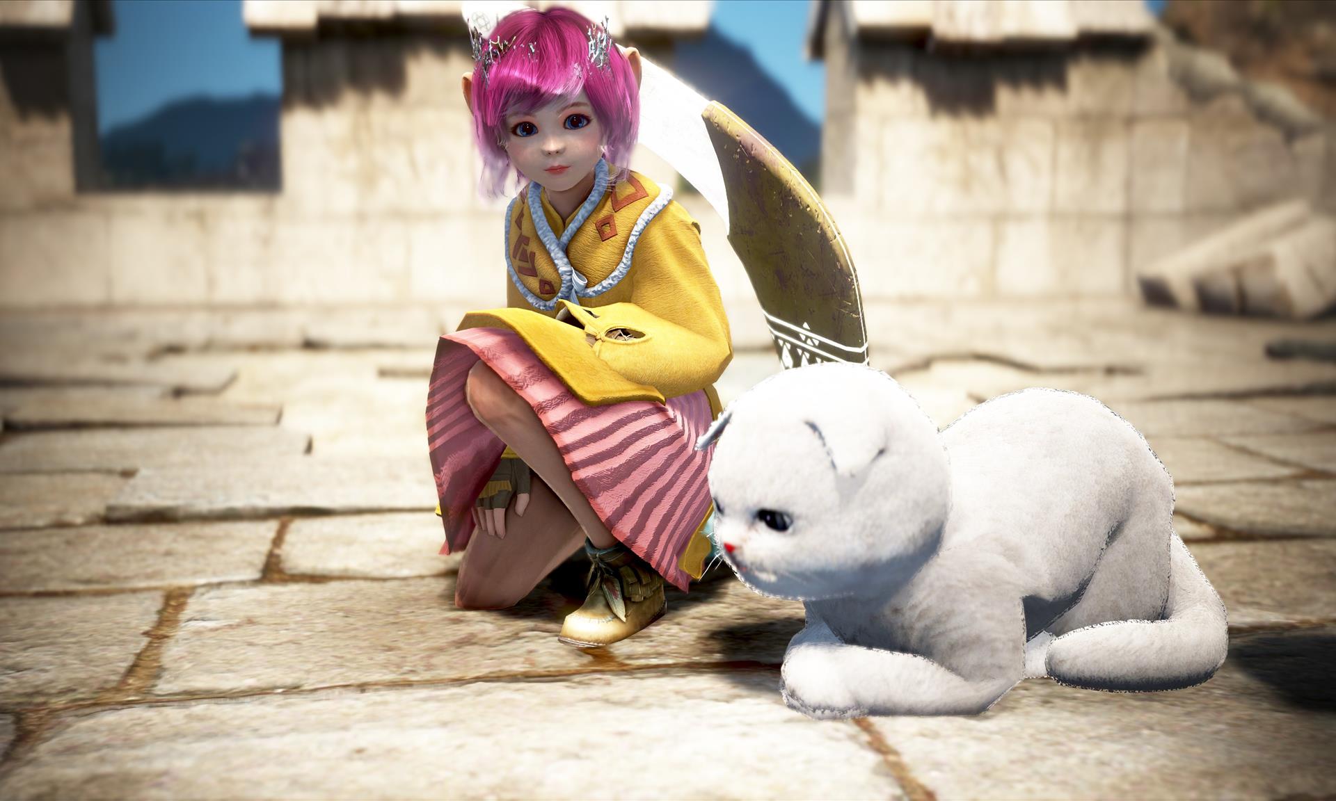 [General Gameplay] BDO Confessions - Write your confession.... | Black ...