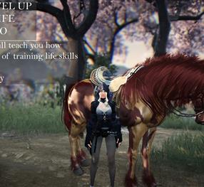 [Game Play] Leveling Training Life Skill on BDO easily and quickly