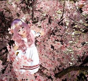 [Screenshots & Clips] [Spring] spring time
