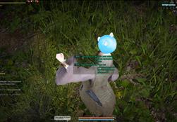 [Screenshots & Clips] fdsf