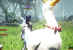 [Screenshots & Clips] [BlackDesert 1st Anniversary]Sir Quacker