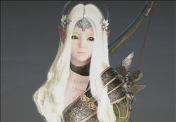 [Screenshots & Clips] BDO- Show your character Event