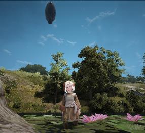 [Screenshots & Clips] Shai Florin Cook's Clothes | Black Desert Asia ...