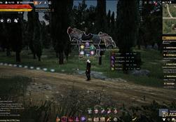 [Screenshots & Clips] [BlackDesert 1st Anniversary]Human Mount