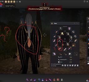 [General Gameplay] Weapon bug? or just Setting? | Black Desert Asia (TH/SEA)