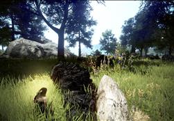 [Screenshots & Clips] [BDOR Screenshots]Nature's Nascent Child