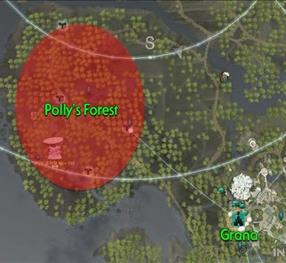 [Game Play] Polly Forest Grind Test