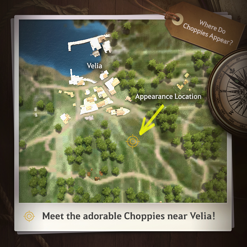 [Events] Catching Skippity Hoppity Choppy