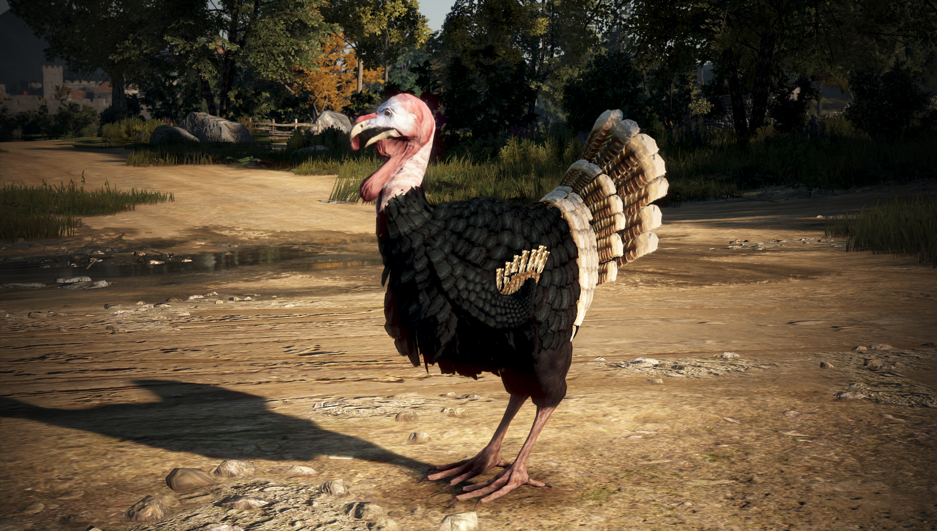 [Events] Golden Turkey Eggs | Black Desert Asia (TH/SEA)