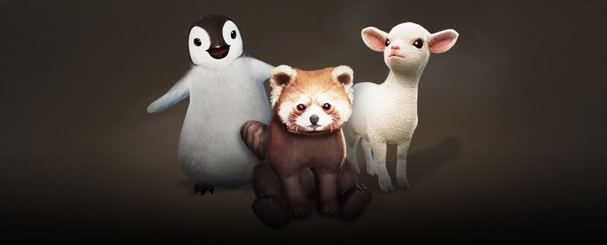 [Pearl Shop] February 26, 2020 (Wed) New items in the Pearl Shop