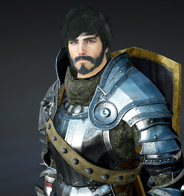 [Customization Album] Knight