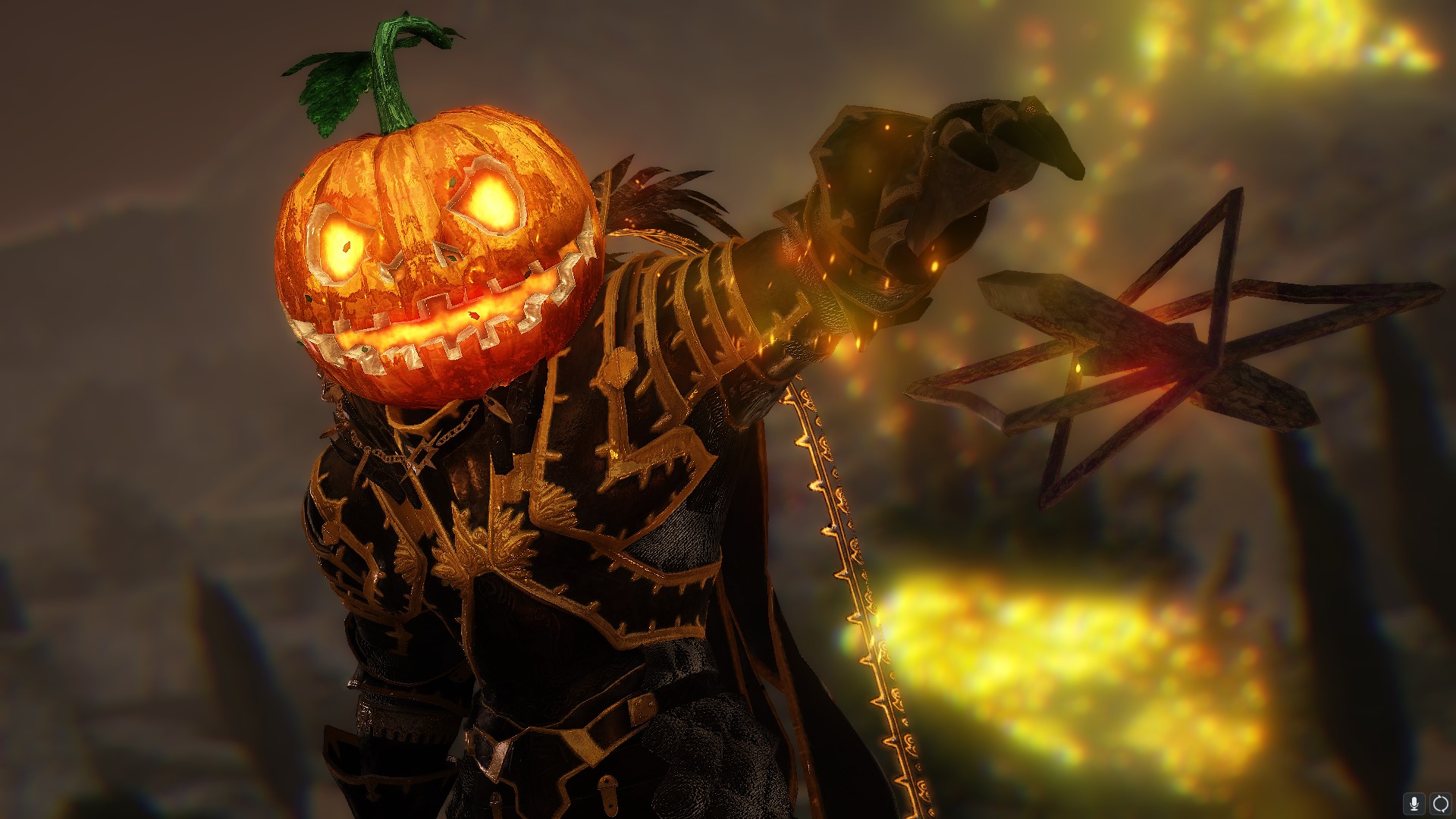 [Photo Gallery] Punpkin!