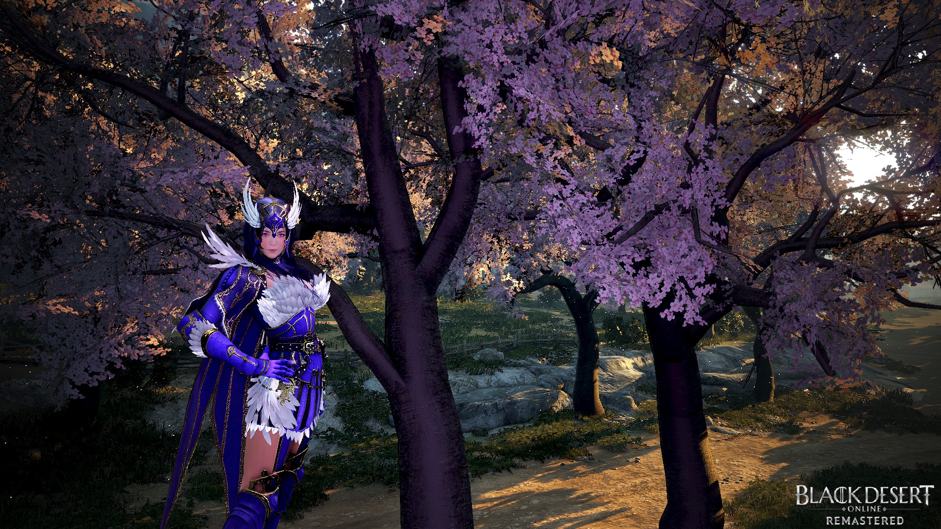 [สกรีนช็อต/วิดีโอ] Violet Valkyrie