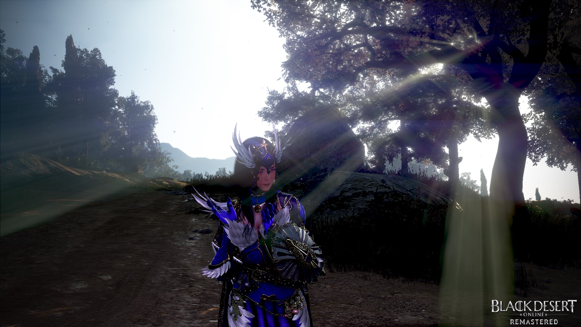 [สกรีนช็อต/วิดีโอ] Violet Valkyrie | Black Desert Asia (TH/SEA)