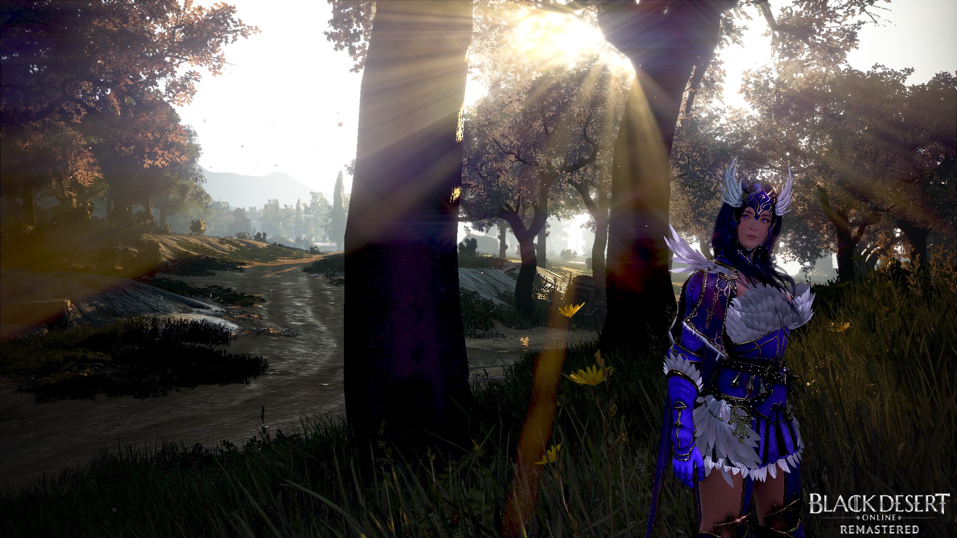 [สกรีนช็อต/วิดีโอ] Violet Valkyrie