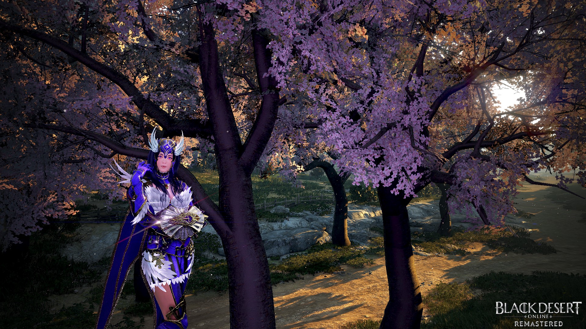 [สกรีนช็อต/วิดีโอ] Violet Valkyrie