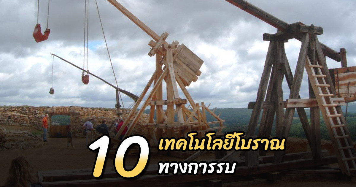 โอเอซิสแห่งความรู้ | Black Desert