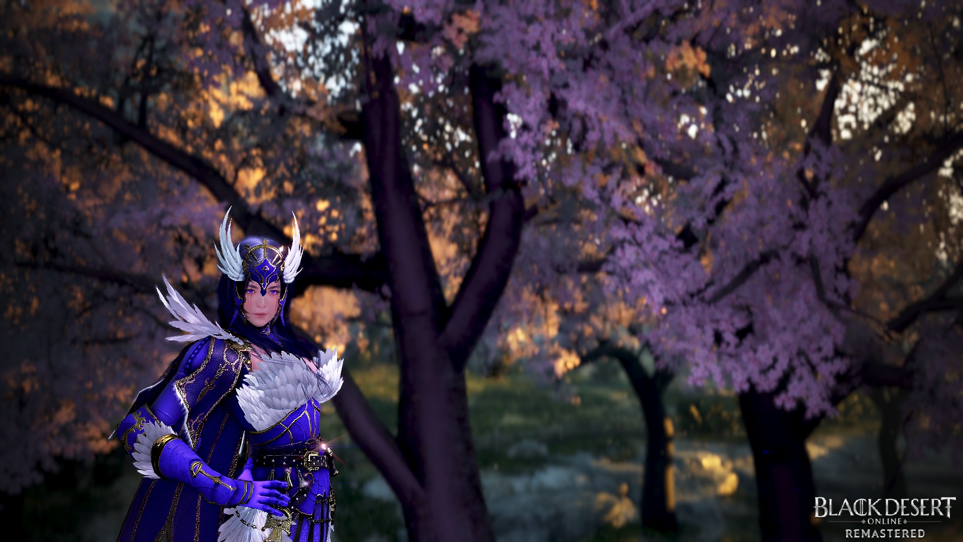 [สกรีนช็อต/วิดีโอ] Violet Valkyrie